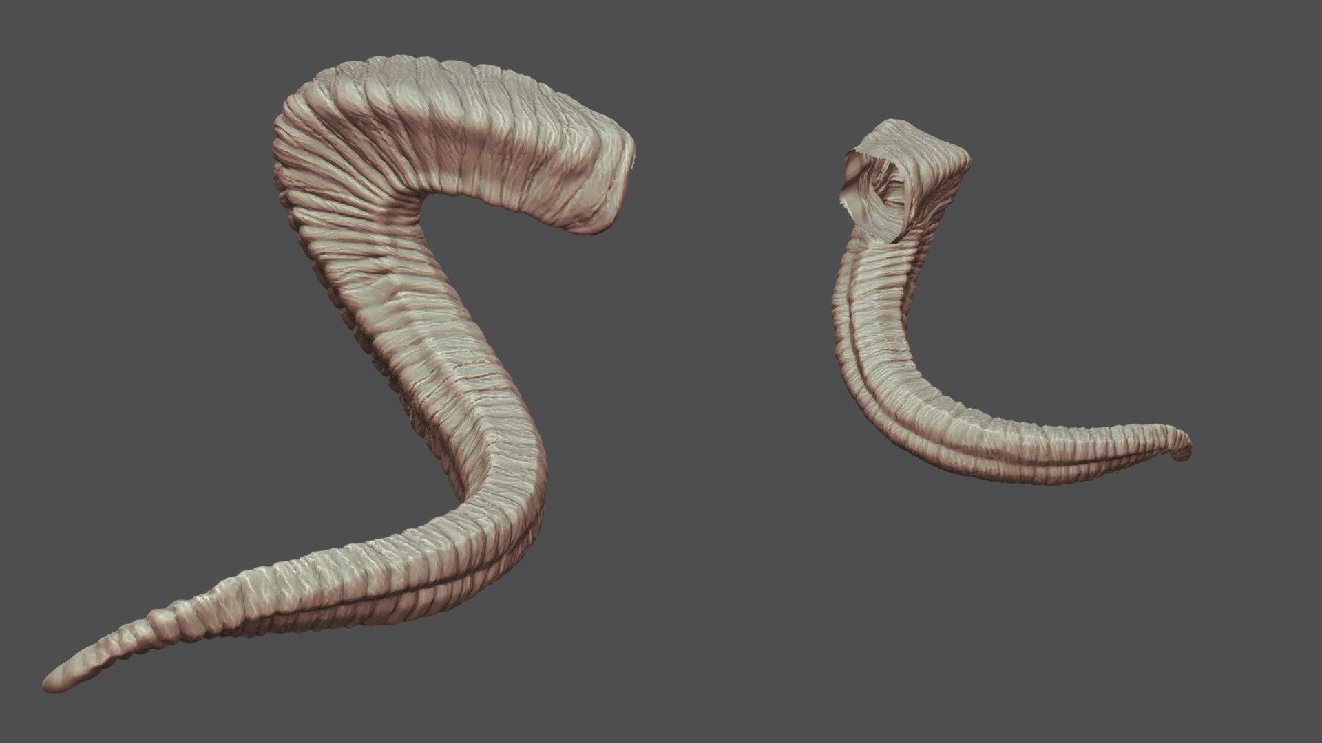 Ram Horns - Download Free 3D model by buzzkirill [b03632f] - Sketchfab