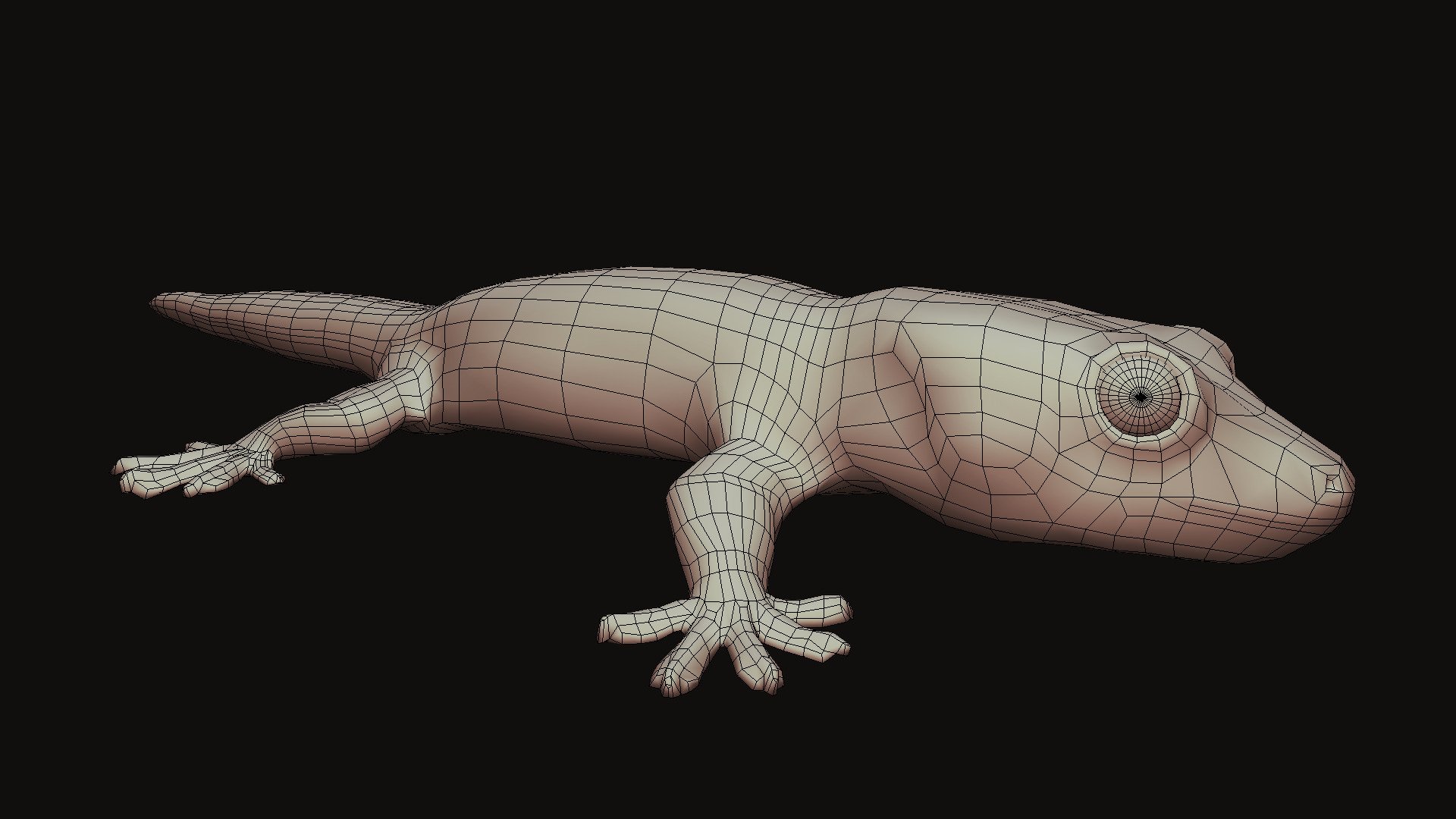 Model 40B - Walking Tokay Gecko Mesh - Download Free 3D model by ...