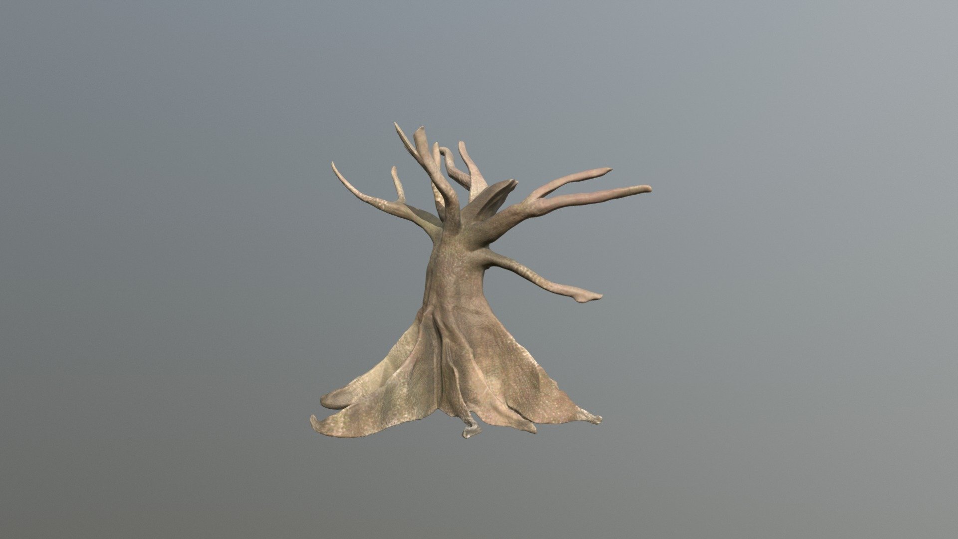 Old Tree HP Colored - 3D model by Gingerfish [b03cb15] - Sketchfab