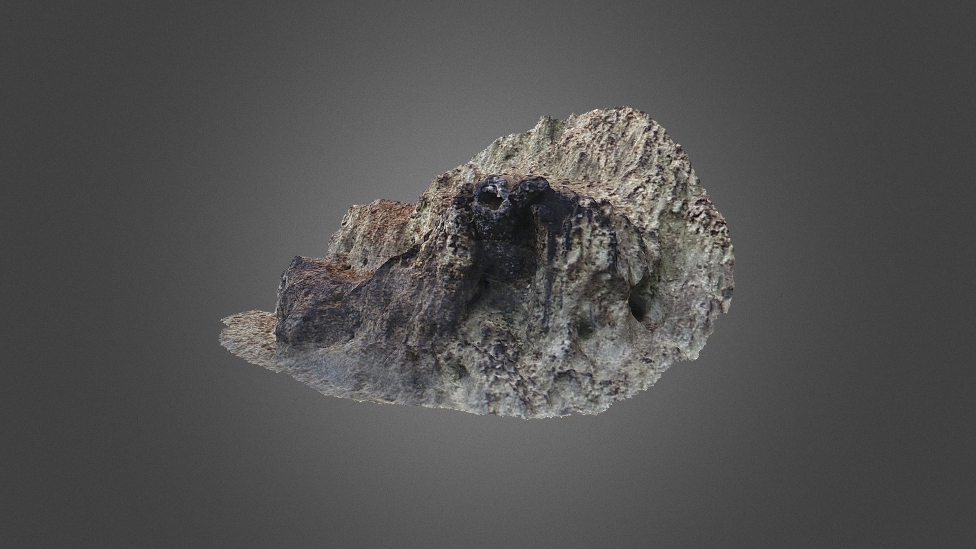 Callichurus sp. fossilized burrows - 3D model by GeoHereditas [b04abcf ...