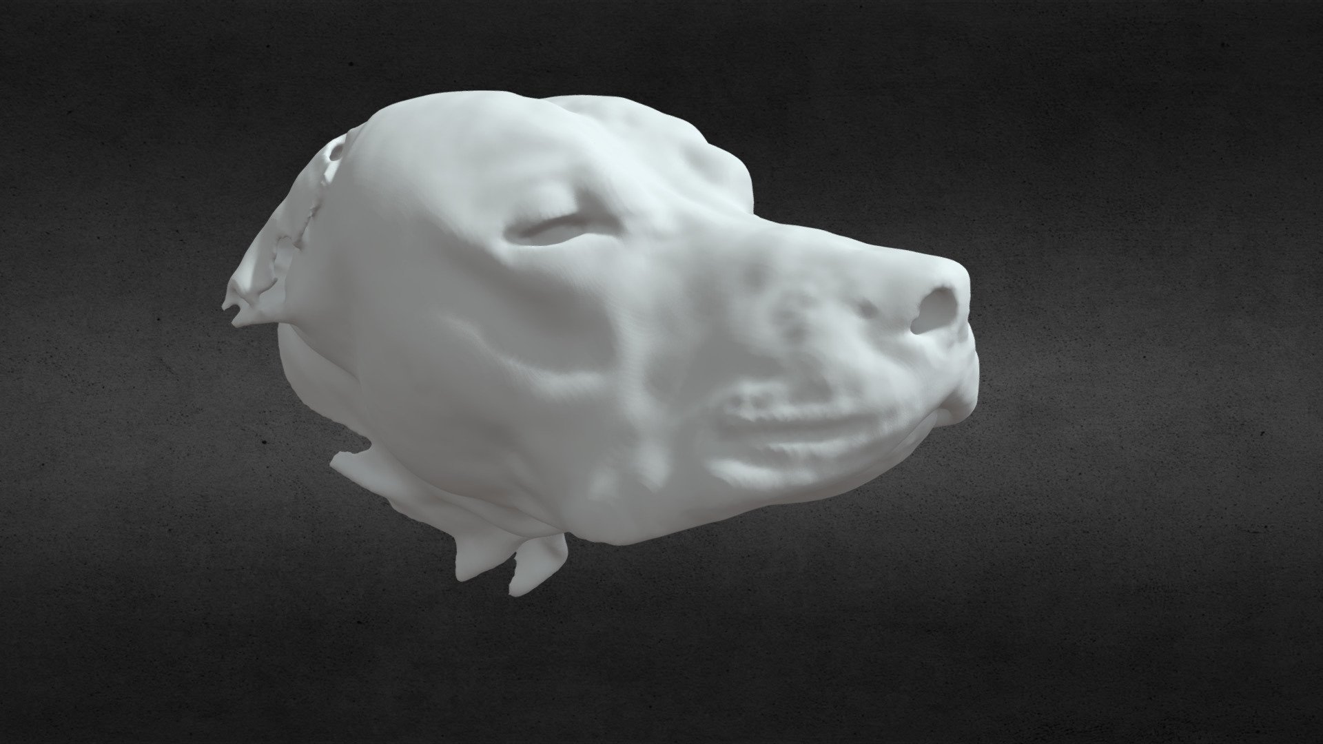 Dog Head - 3D model by Scott (@interstellar_simian) [b04b545] - Sketchfab