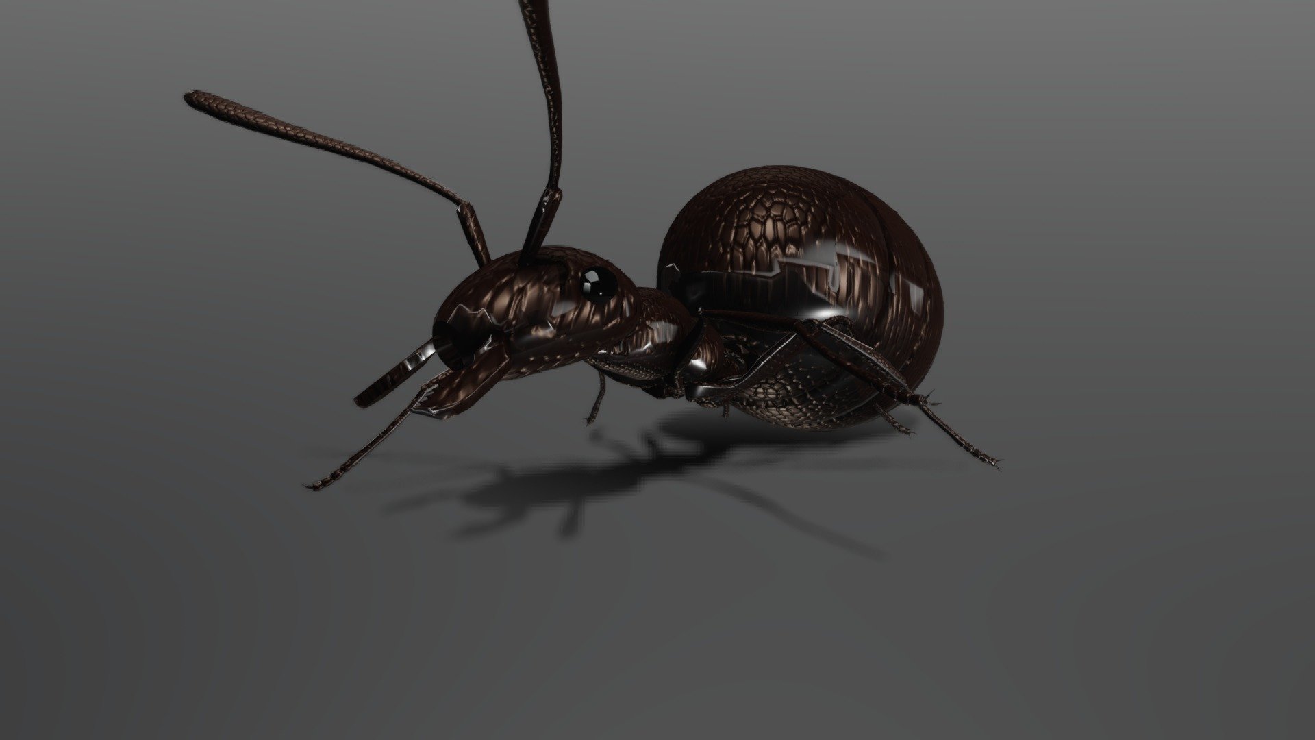 Game-Ready Queen ant Model - Download Free 3D model by Msassasa ...