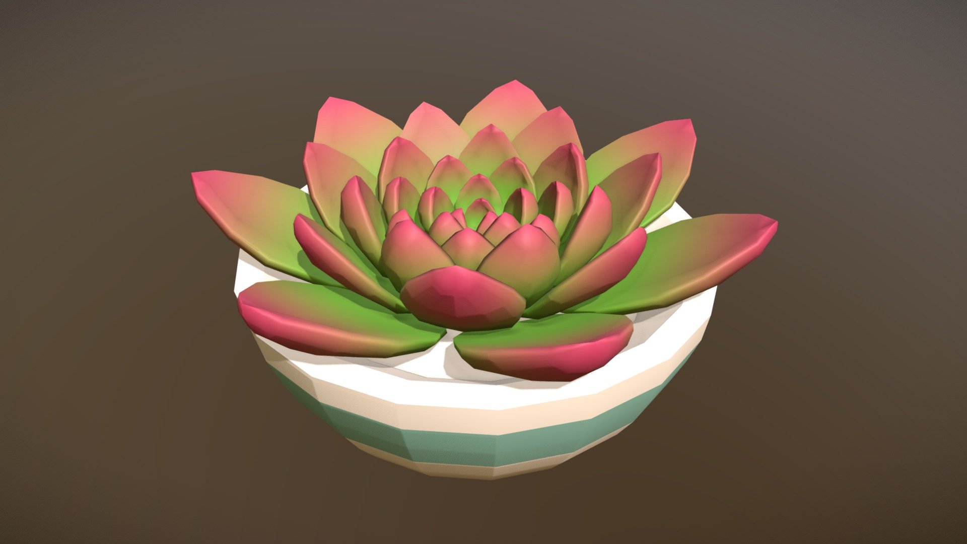 Pot Succulent - 3D model by Kayla_Roeten (@Kayla_) [b05281b] - Sketchfab