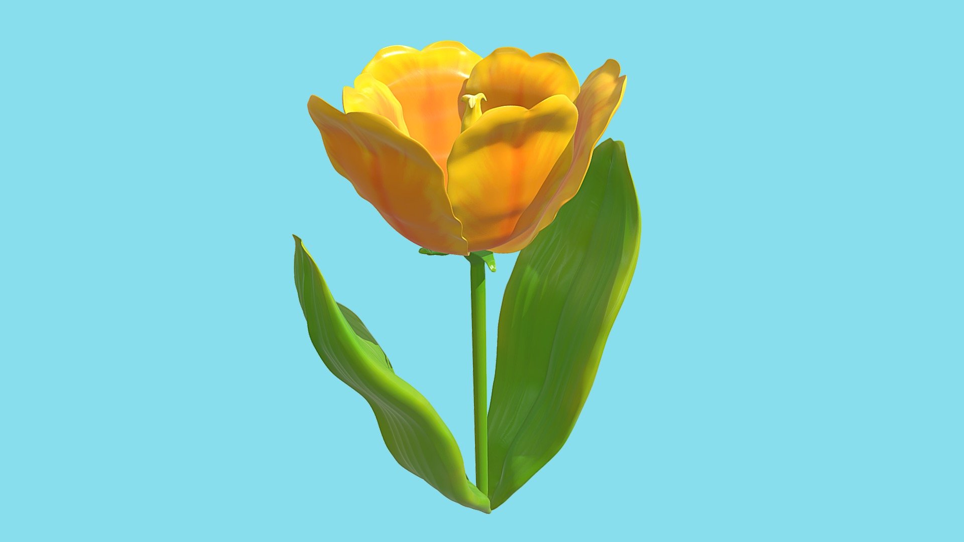 Tulip Flower - 3D model by HopeTohme [b053ca7] - Sketchfab