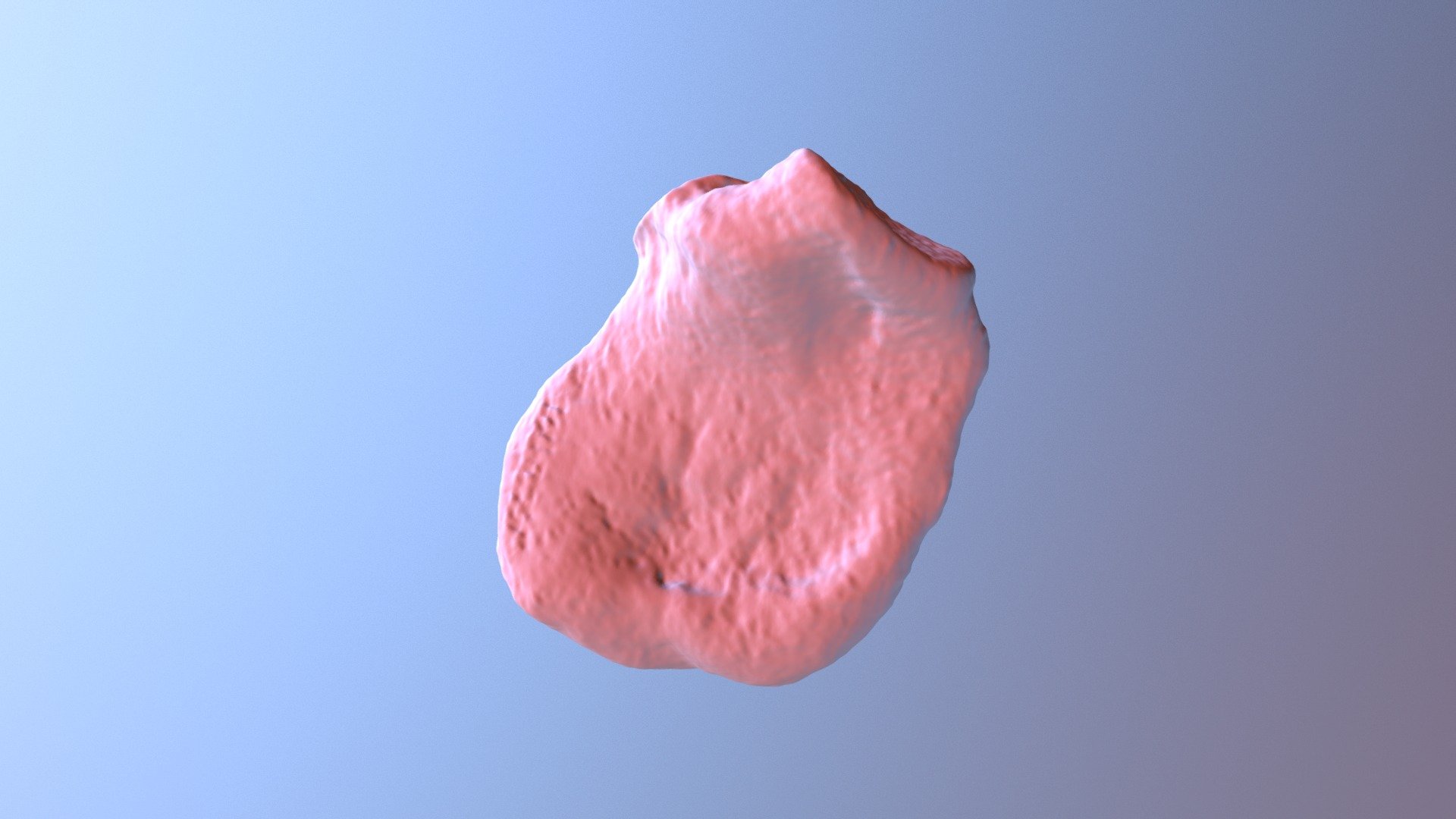 WSC24707 Equus Right Pisiform - 3D model by WesternScienceCenter ...