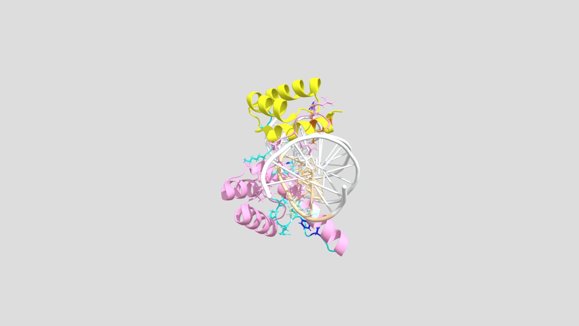DUX4 - 3D model by 1qquiywdhw [b064e65] - Sketchfab