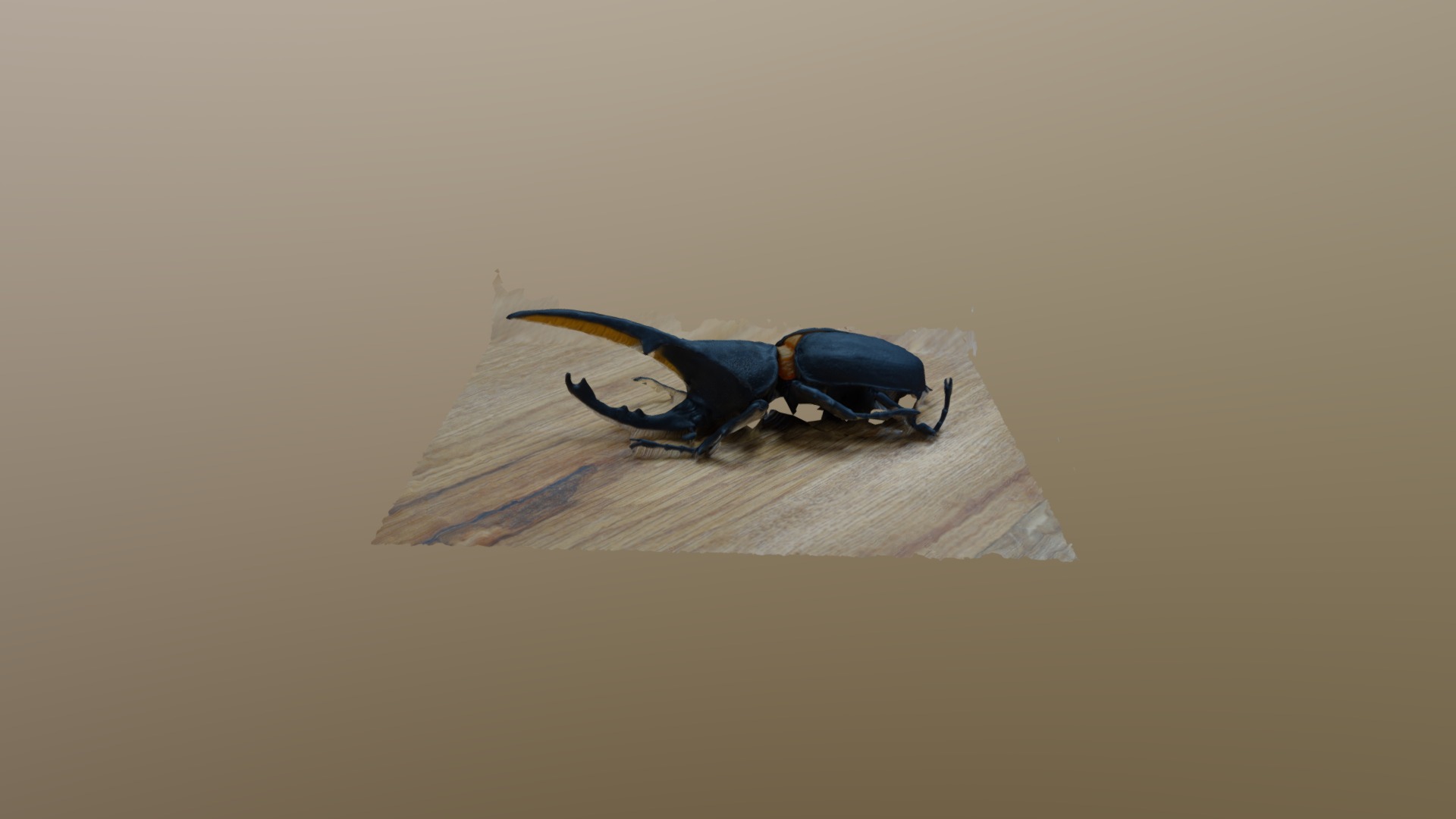 beetle - Download Free 3D model by aokazu909 [b067b73] - Sketchfab
