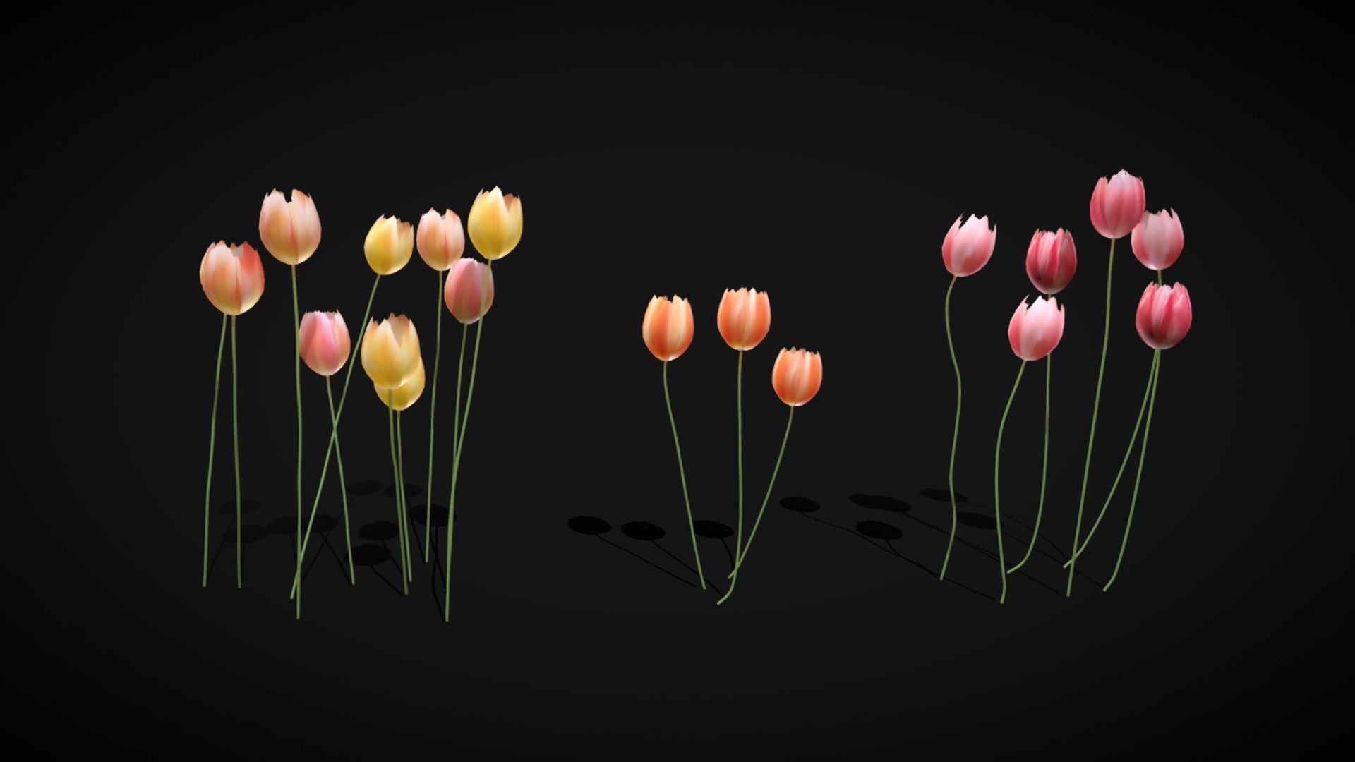 Tulip Flowers - Buy Royalty Free 3D model by ahingel [b071c3e ...