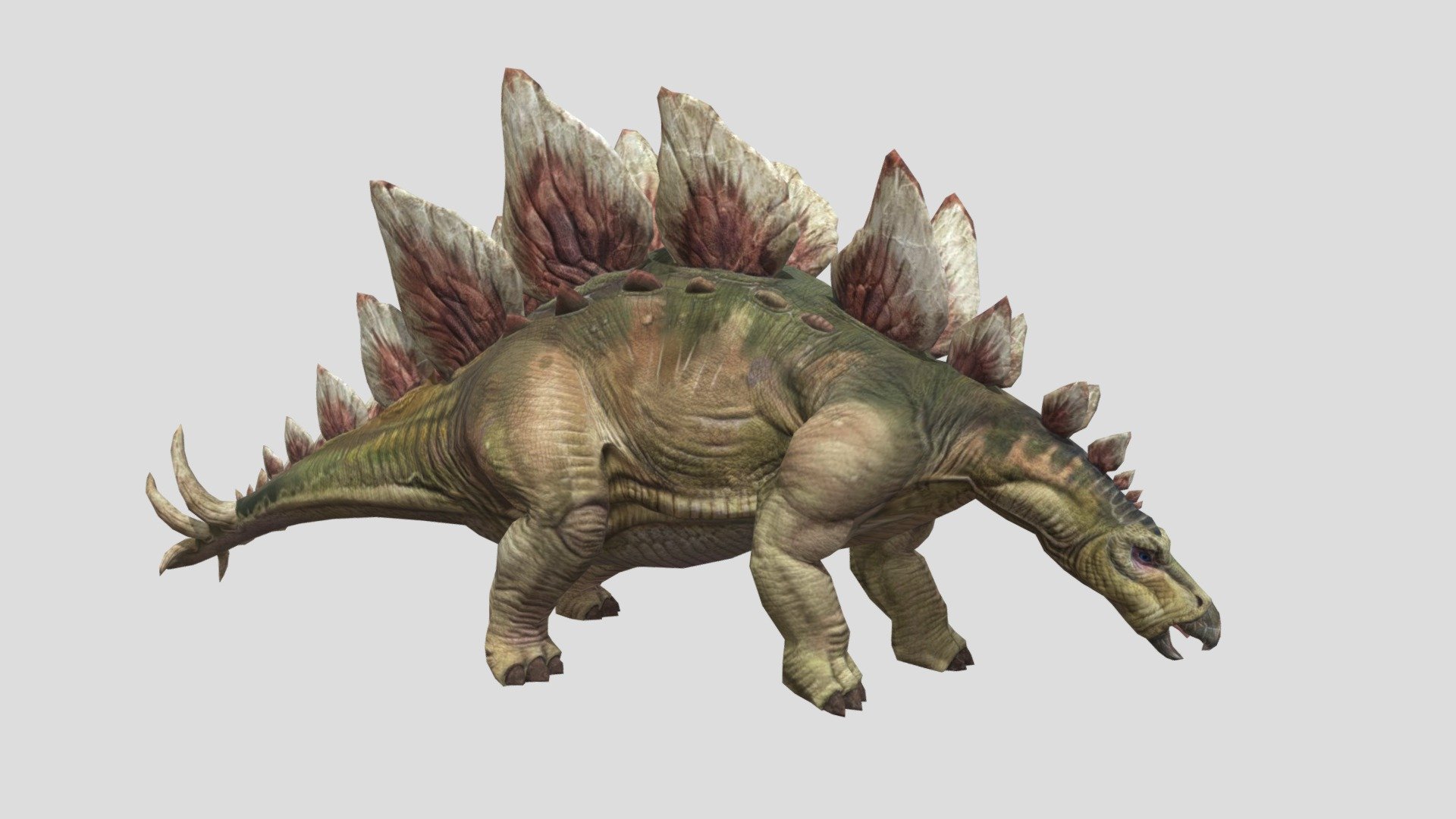 STEGO - Download Free 3D model by seth the yutyrannus (@slang107123456789) [b07eb05] - Sketchfab