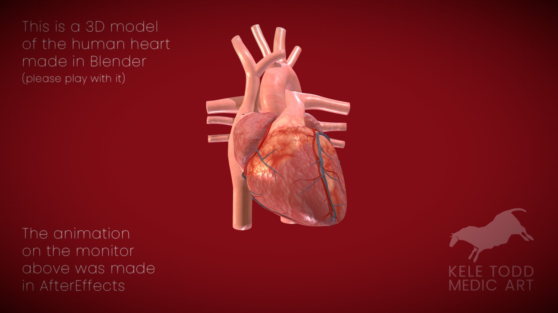 Human Heart - 3D model by Kele Todd (@keletodd) [b088f2b] - Sketchfab