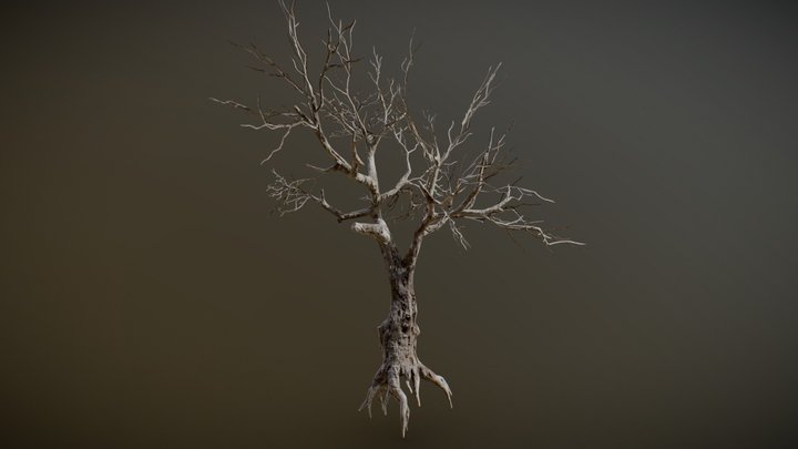 Catacombs 3D models - Sketchfab