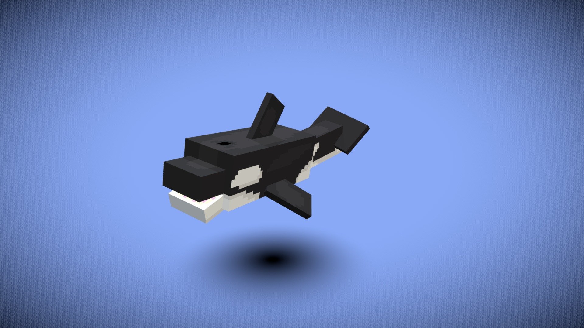 Orca - 3D model by Derp (@derp_mcaddon) [b0983cd] - Sketchfab