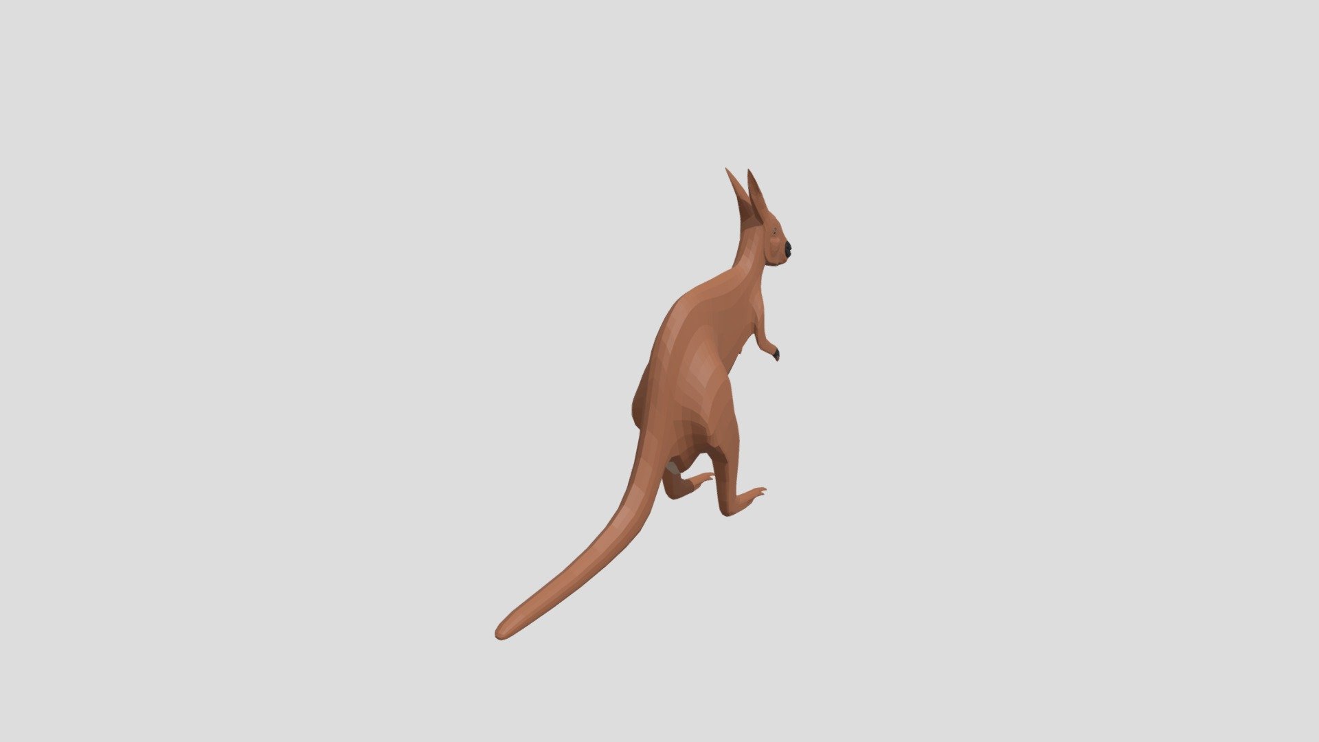 Kangaroo - 3D model by Silvienblade [b09972b] - Sketchfab
