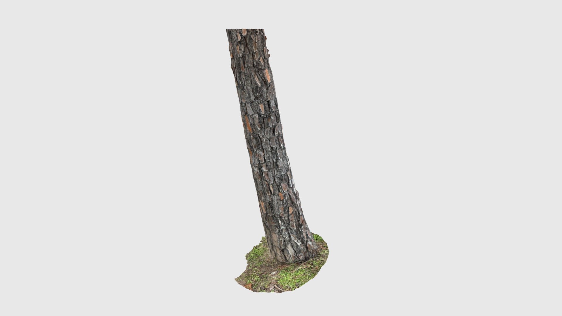 Pine Trunk D - Download Free 3D model by AirSickLowLander [b09cb0a ...