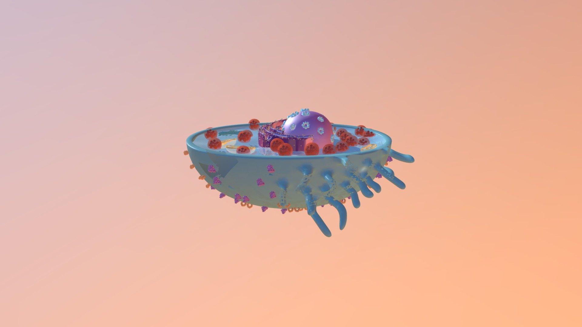 Mast Cell - 3D model by jc2210 [b09db8f] - Sketchfab