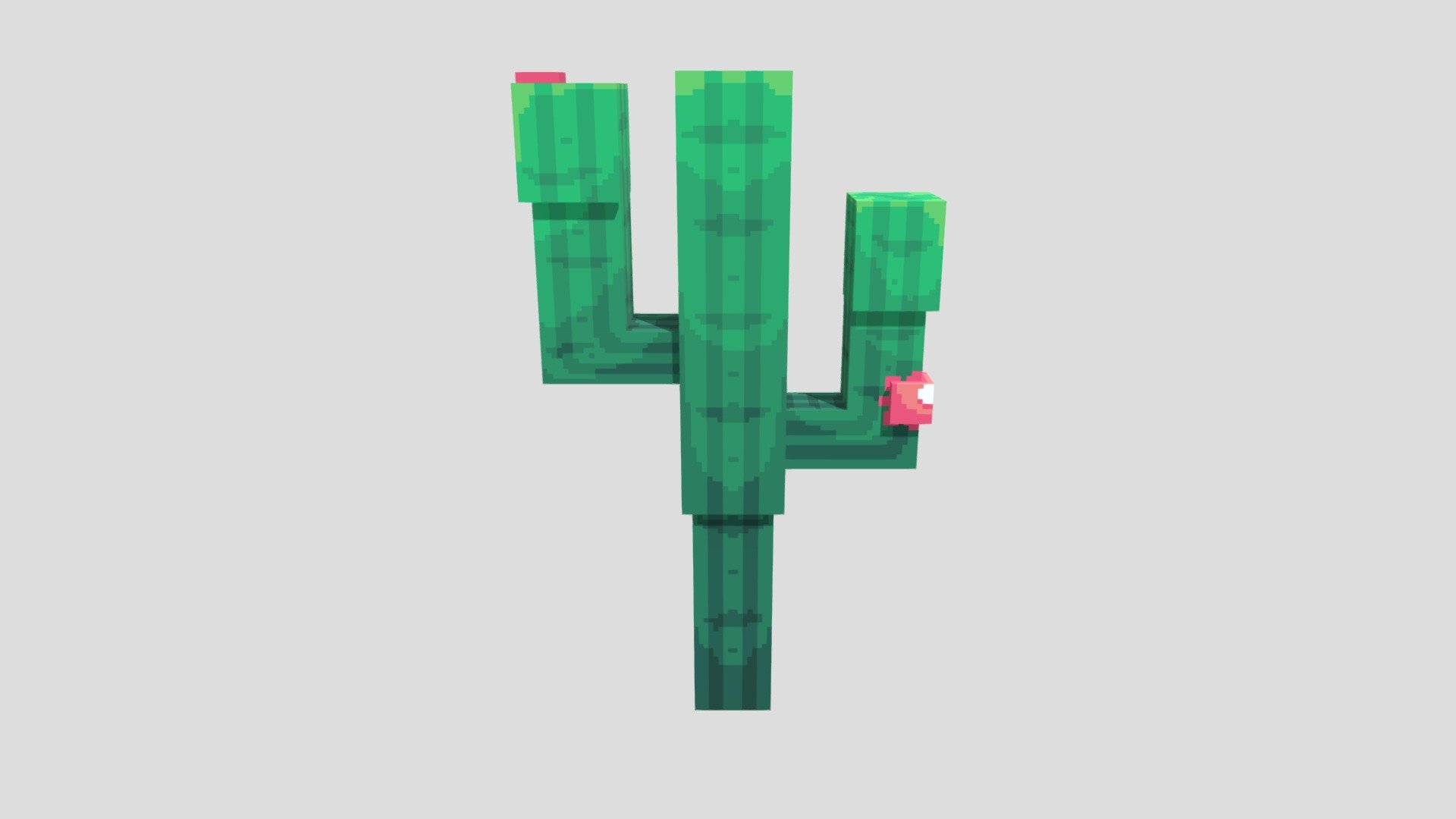 Cactus - 3D model by andric_97 [b0a3141] - Sketchfab