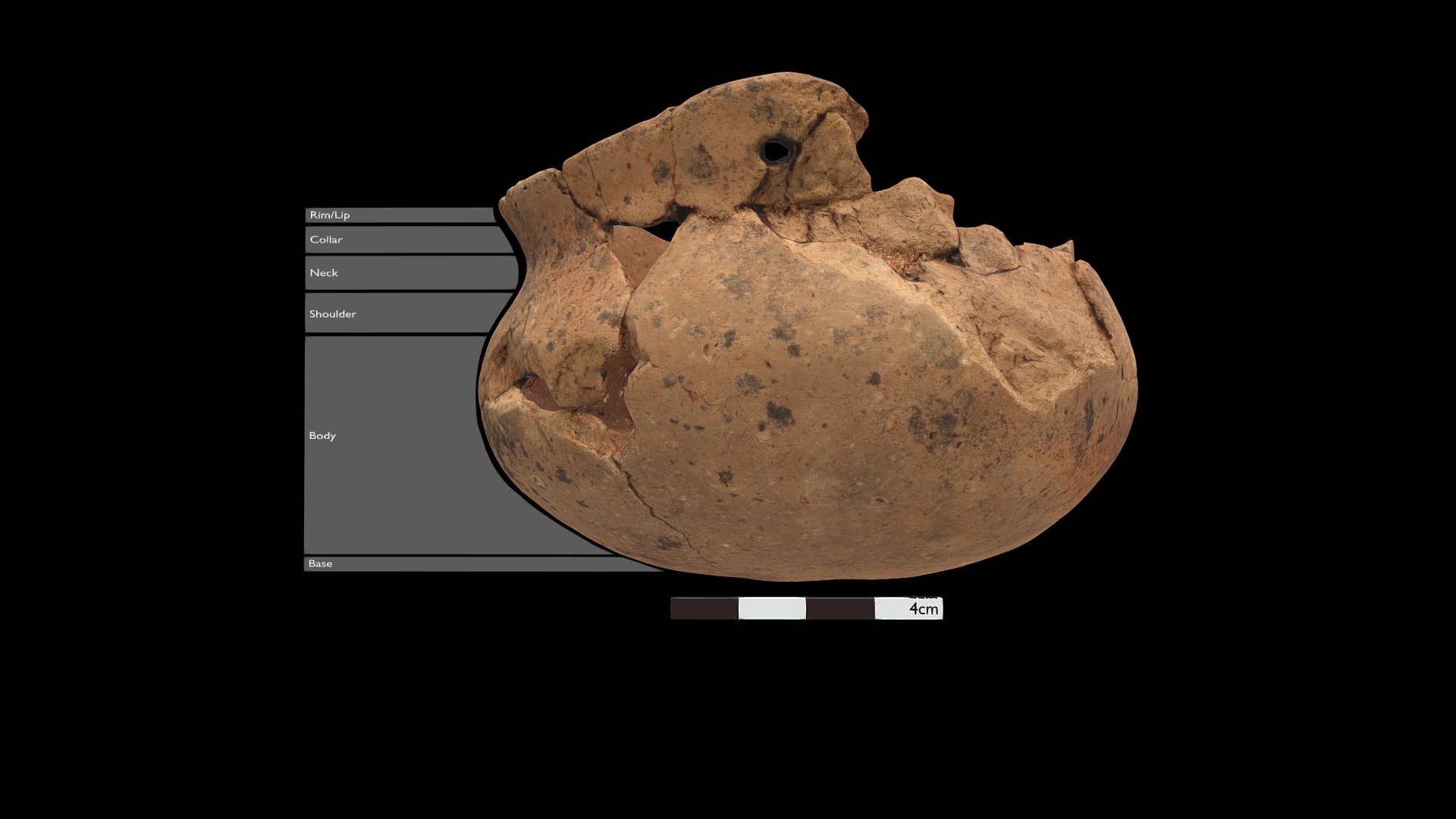 Basic Morphology of a Pottery Vessel - 3D model by danderson4 [b0c0e2b ...