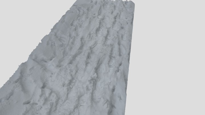 Footprint 3D models - Sketchfab