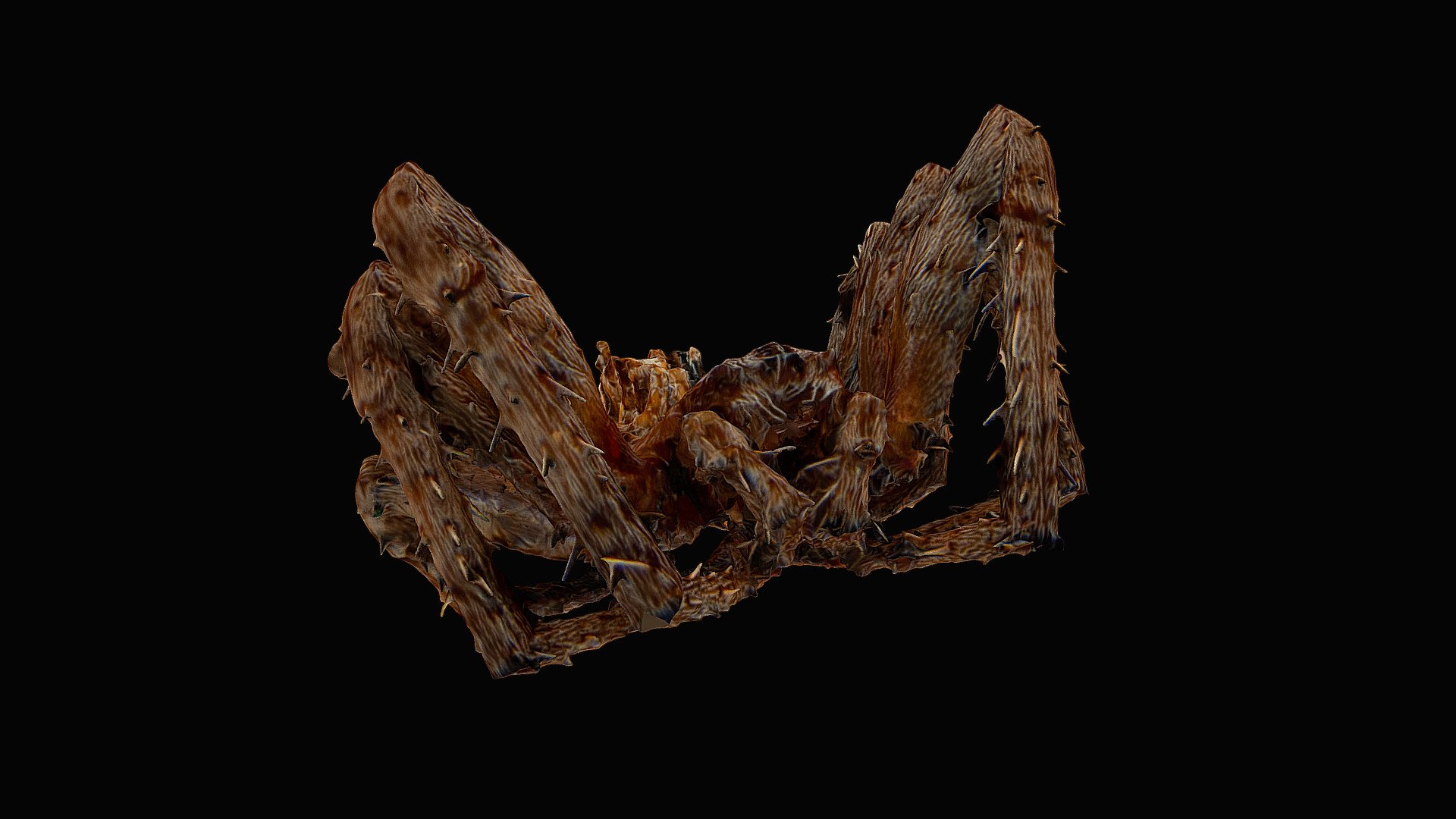 Brown hairy spider - Photogrammetry Scan - Download Free 3D model by ...