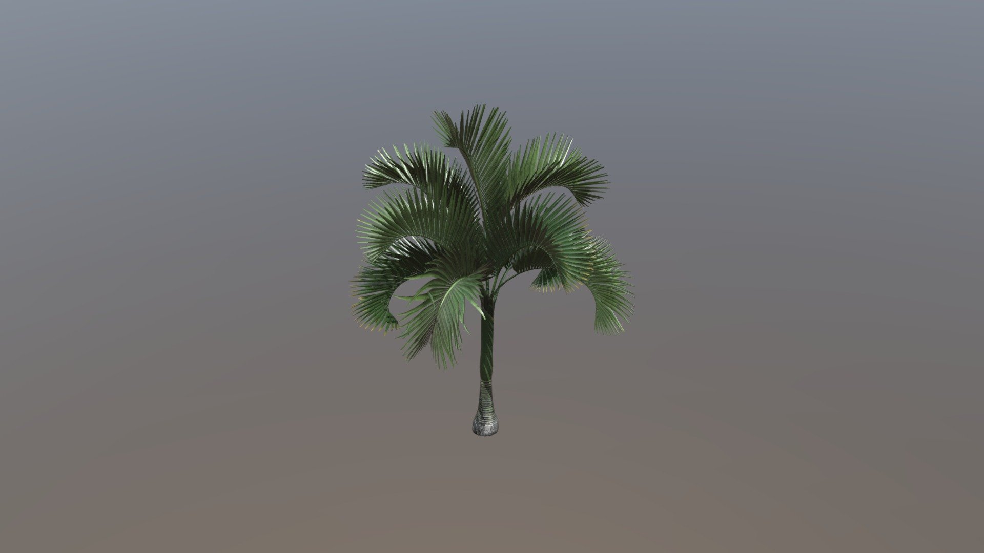 Small Palm - 3D model by erhan hülagü (@erhan3d) [b0c8af6] - Sketchfab