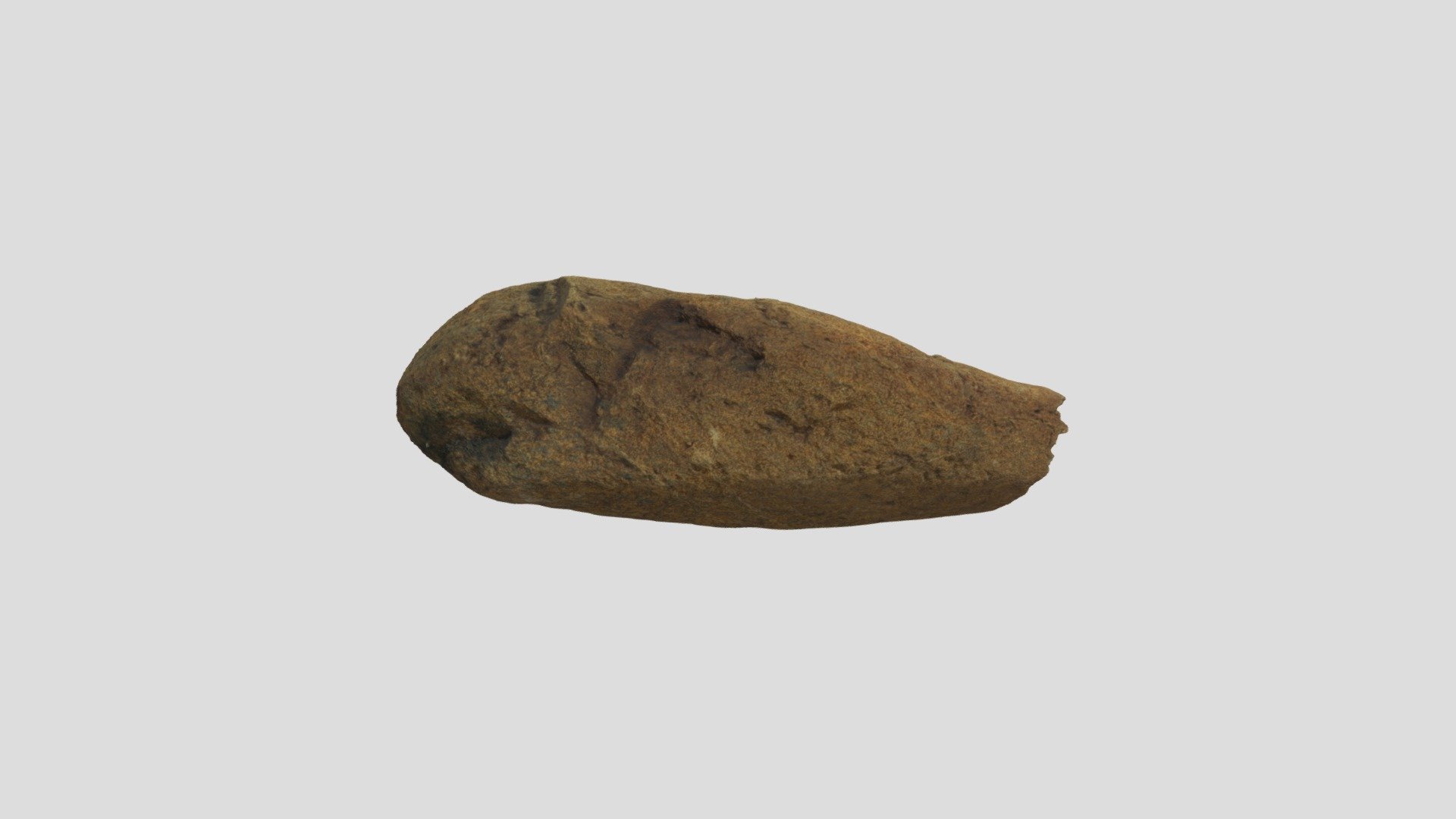 10. Fucoid Beds. weathered - 3D model by Department of Earth Sciences ...