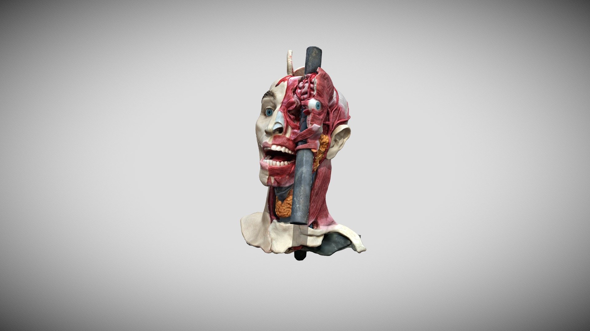 Phineas Gage - 3D model by corey.coutts [b0d471f] - Sketchfab