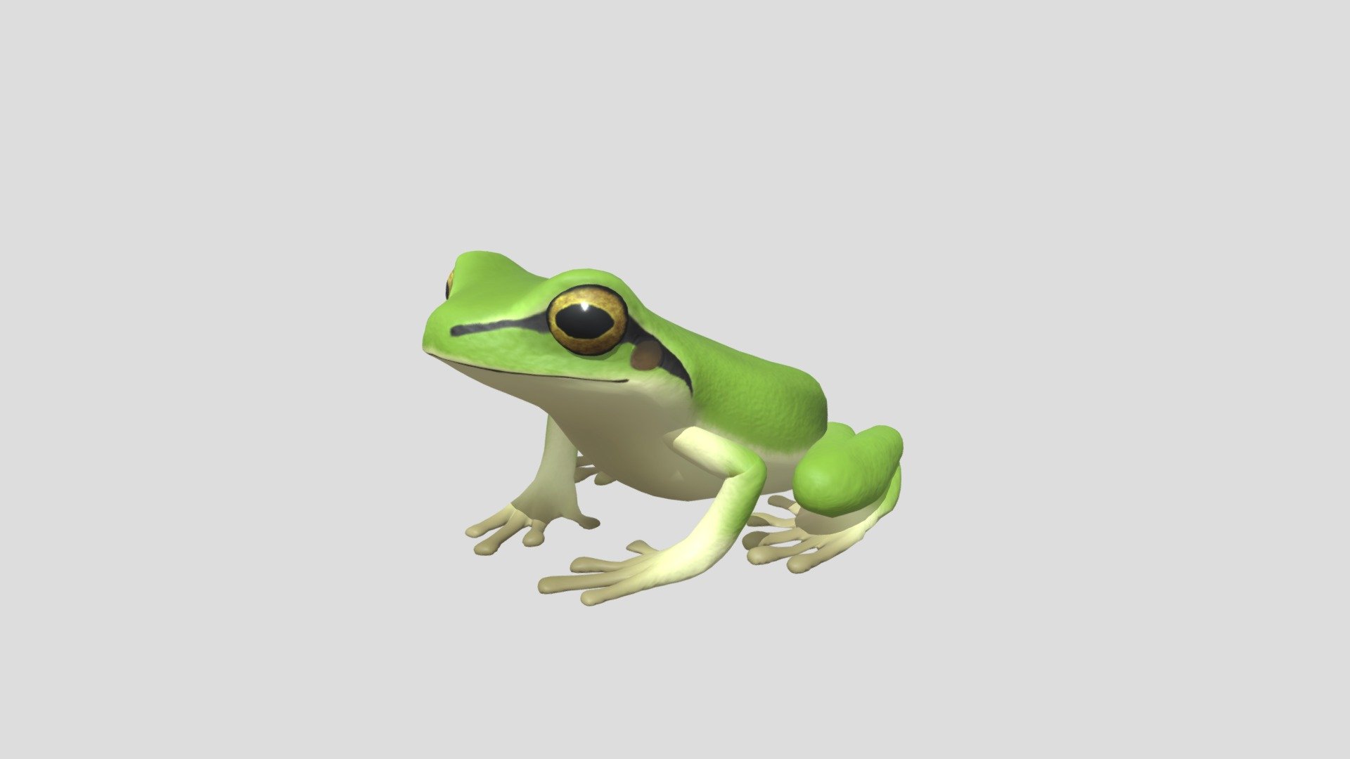 Japanese Tree Frog - 3D model by kenchoo [b0d95c5] - Sketchfab