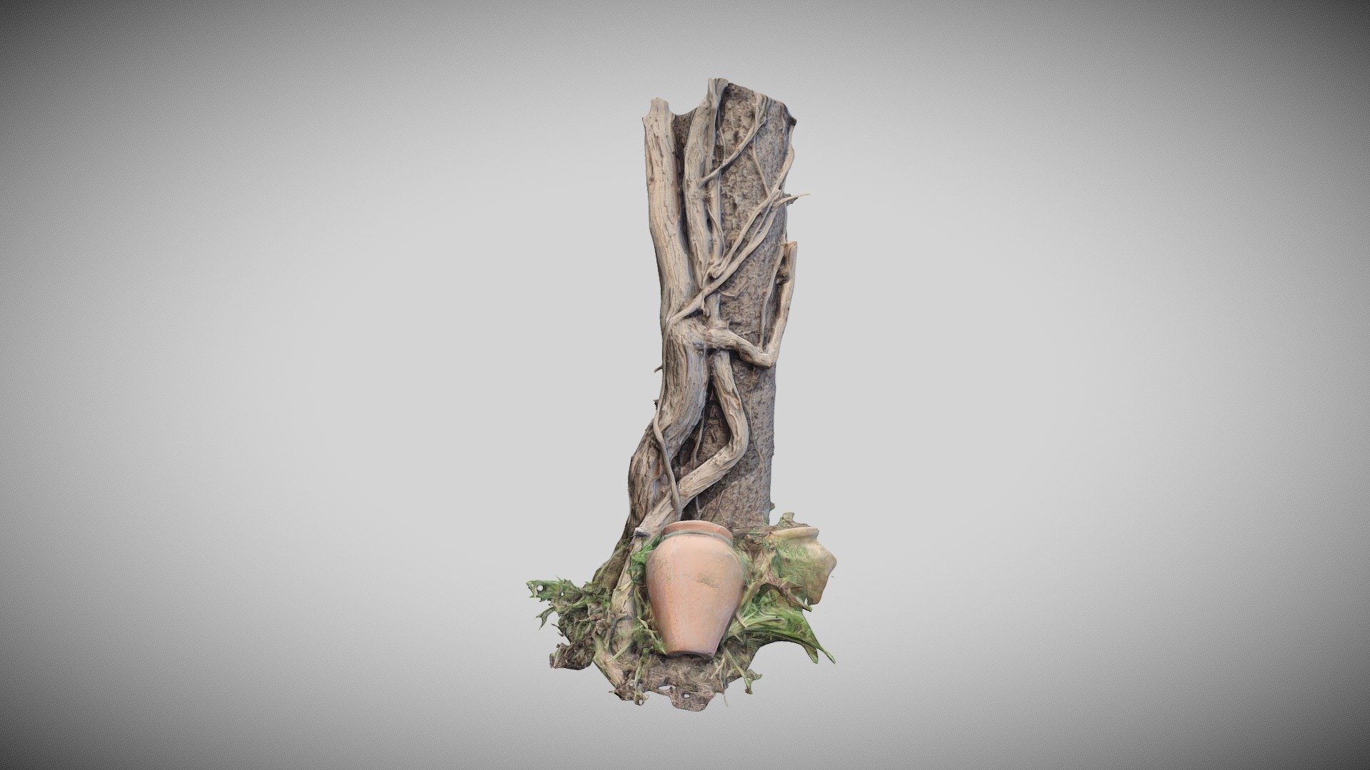 Tree trunk - Download Free 3D model by Zukaruki [b0e31b2] - Sketchfab