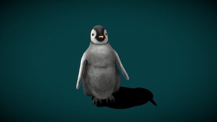 Penguin 3D models - Sketchfab