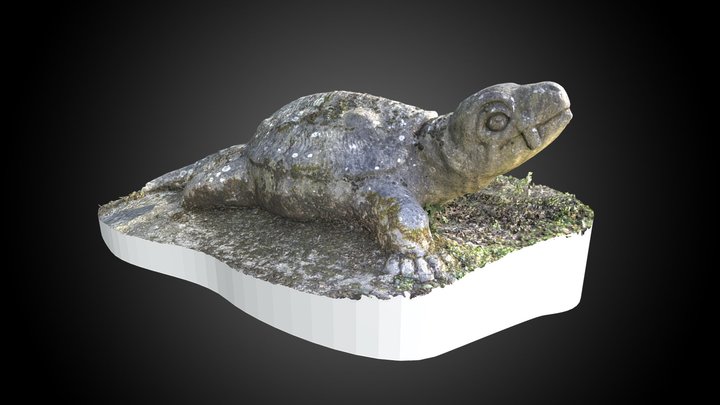 Dicynodon 3D models - Sketchfab