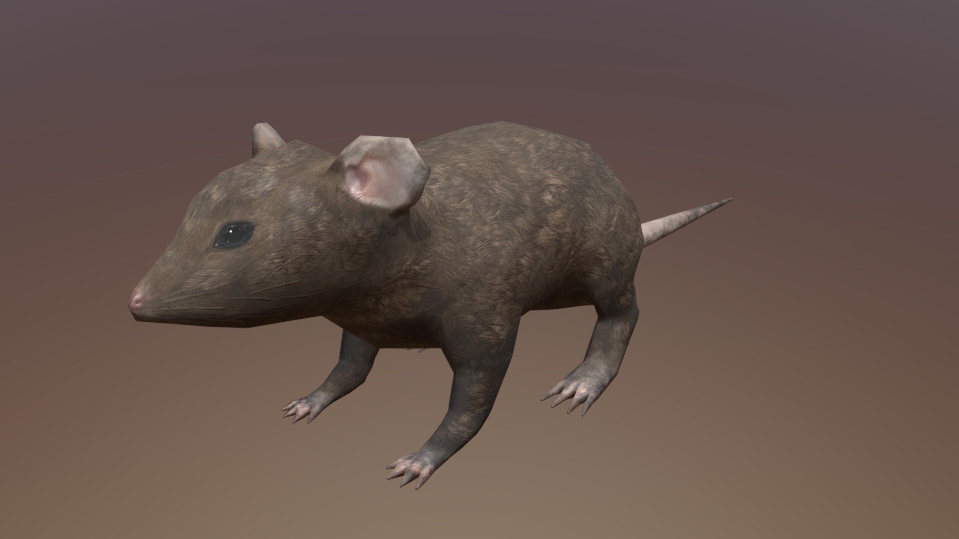 Mouse - 3D model by Wen (@Wen04) [b0fe83f] - Sketchfab