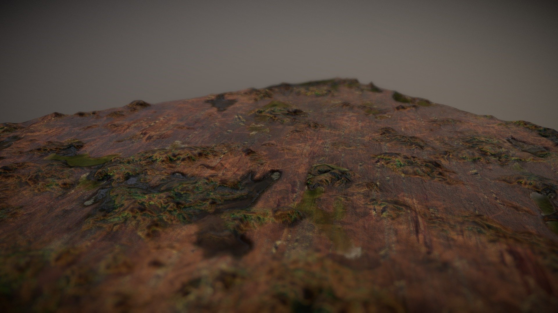 Swamp ground 2 - 3D model by StanislavBotev [b0ff1c3] - Sketchfab