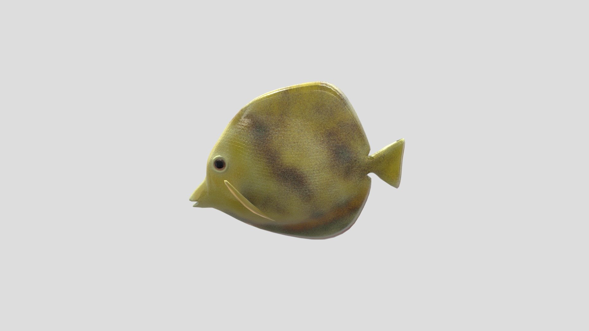 Fish - 3D model by jordyndesigns [b10c25c] - Sketchfab
