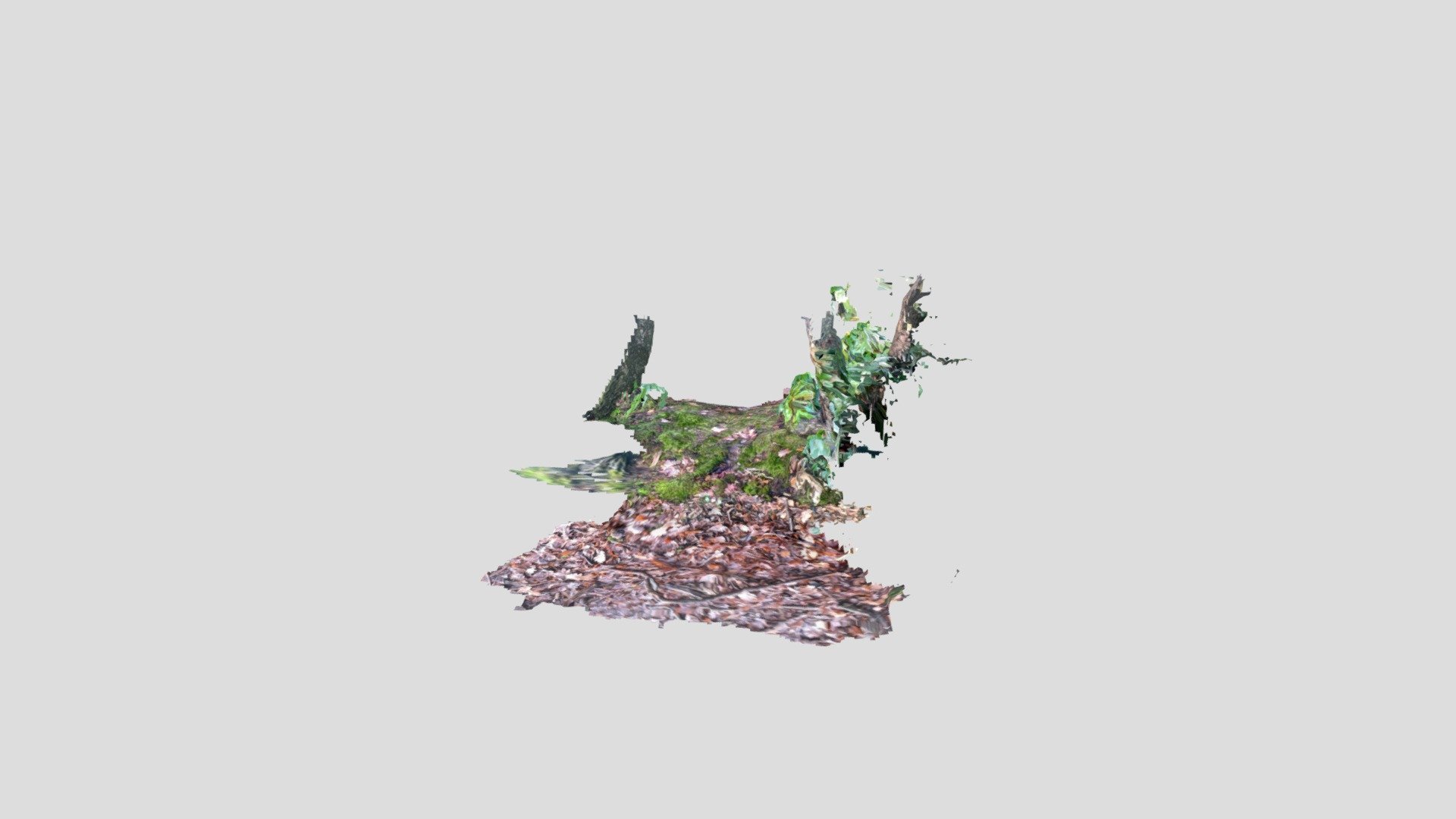 moss 1 - Download Free 3D model by froggirlsnailboy [b10de85] - Sketchfab