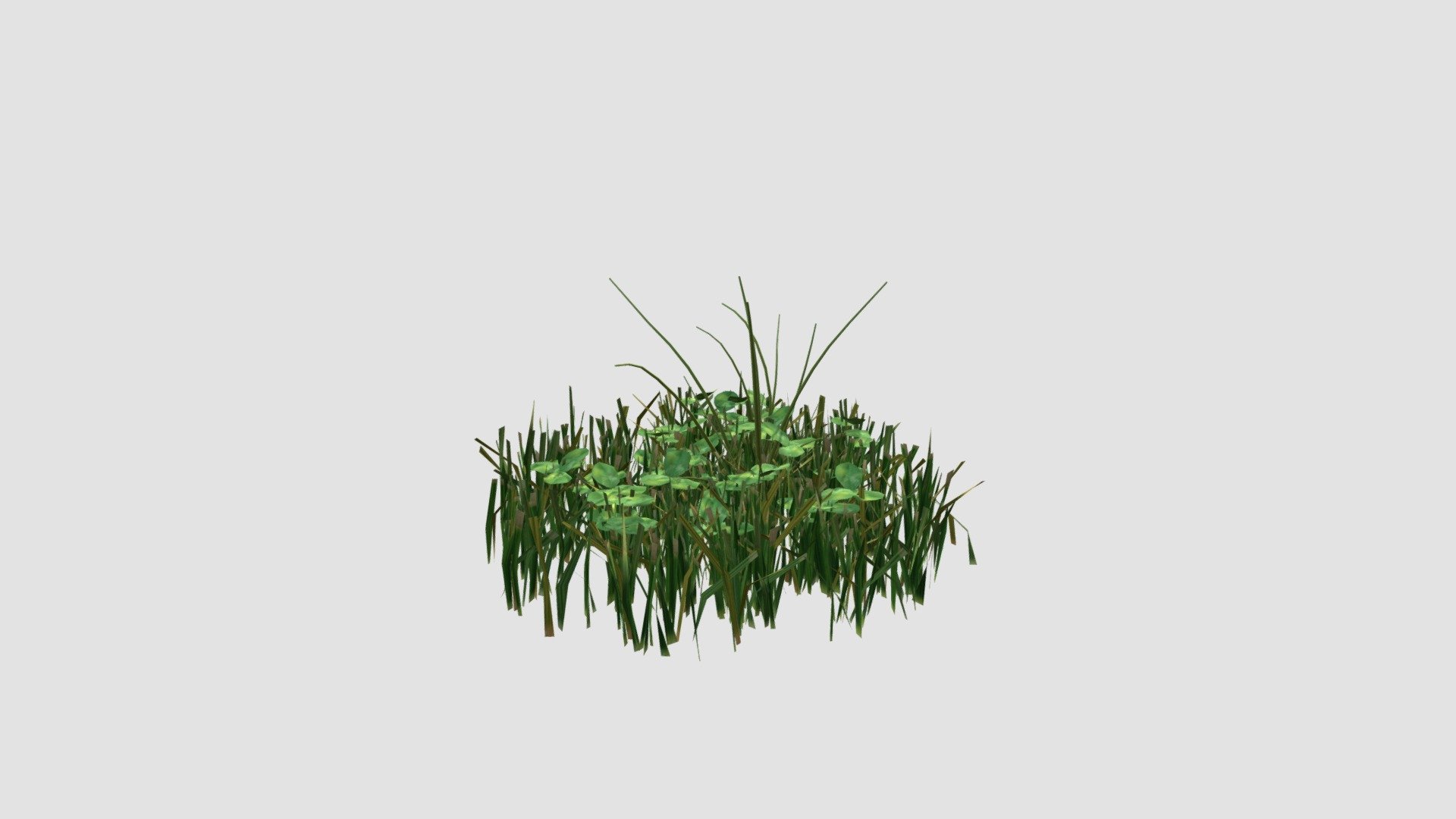 simple grass small - Buy Royalty Free 3D model by Evermotion [b10f828 ...