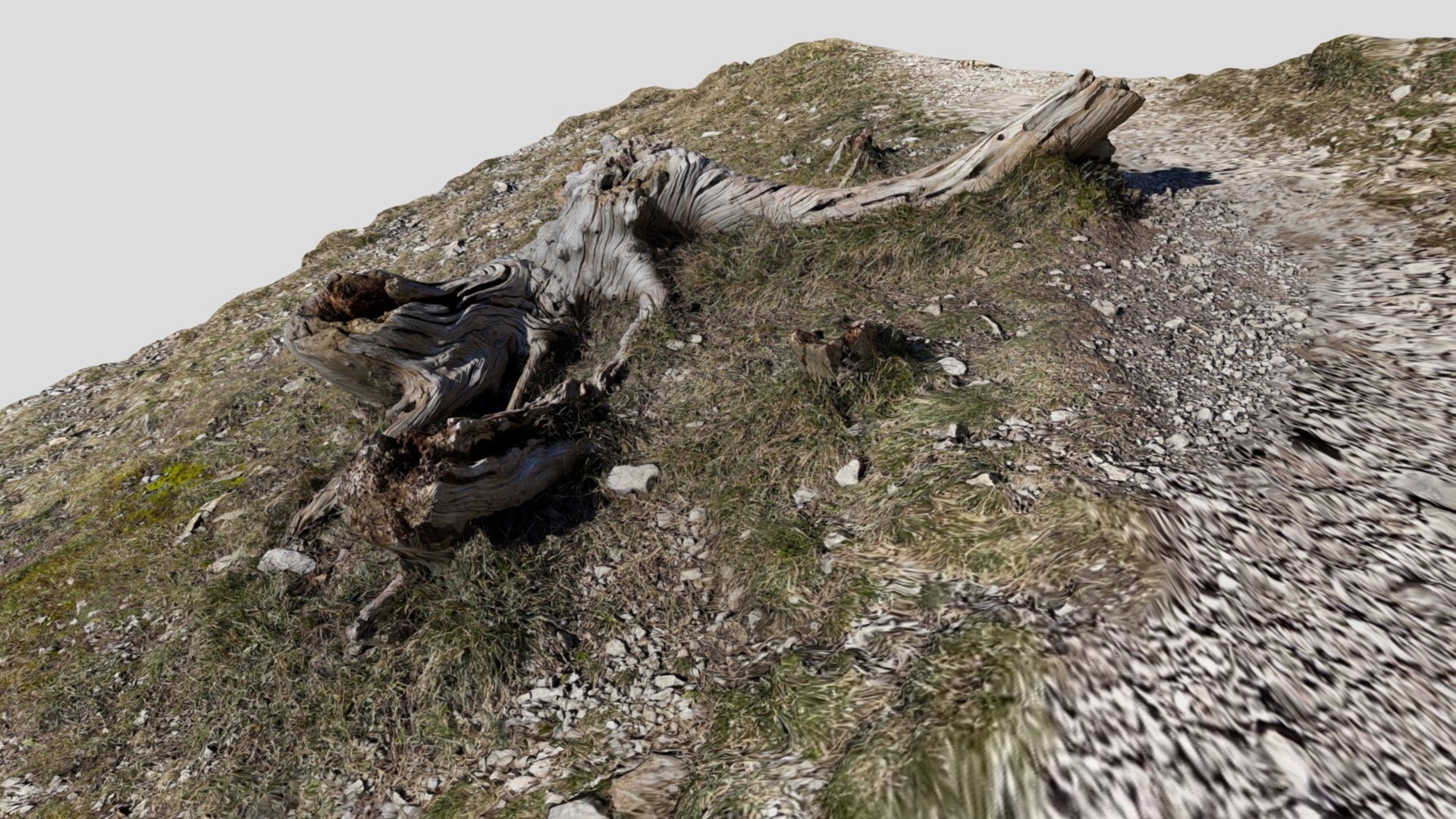 Root - Download Free 3D model by thecommonpeople [b110b43] - Sketchfab