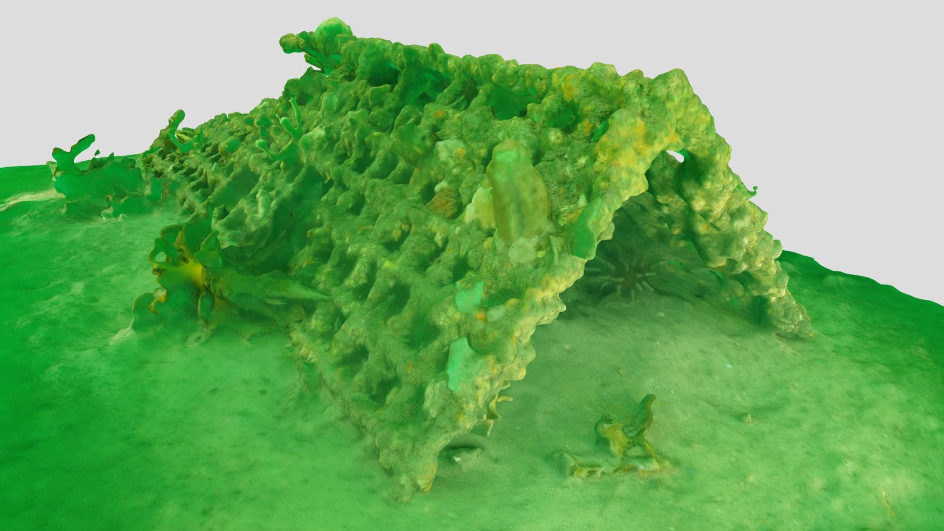 Clifton Gardens, Fish Frame - 3D model by ryanbooker [b12ed66] - Sketchfab