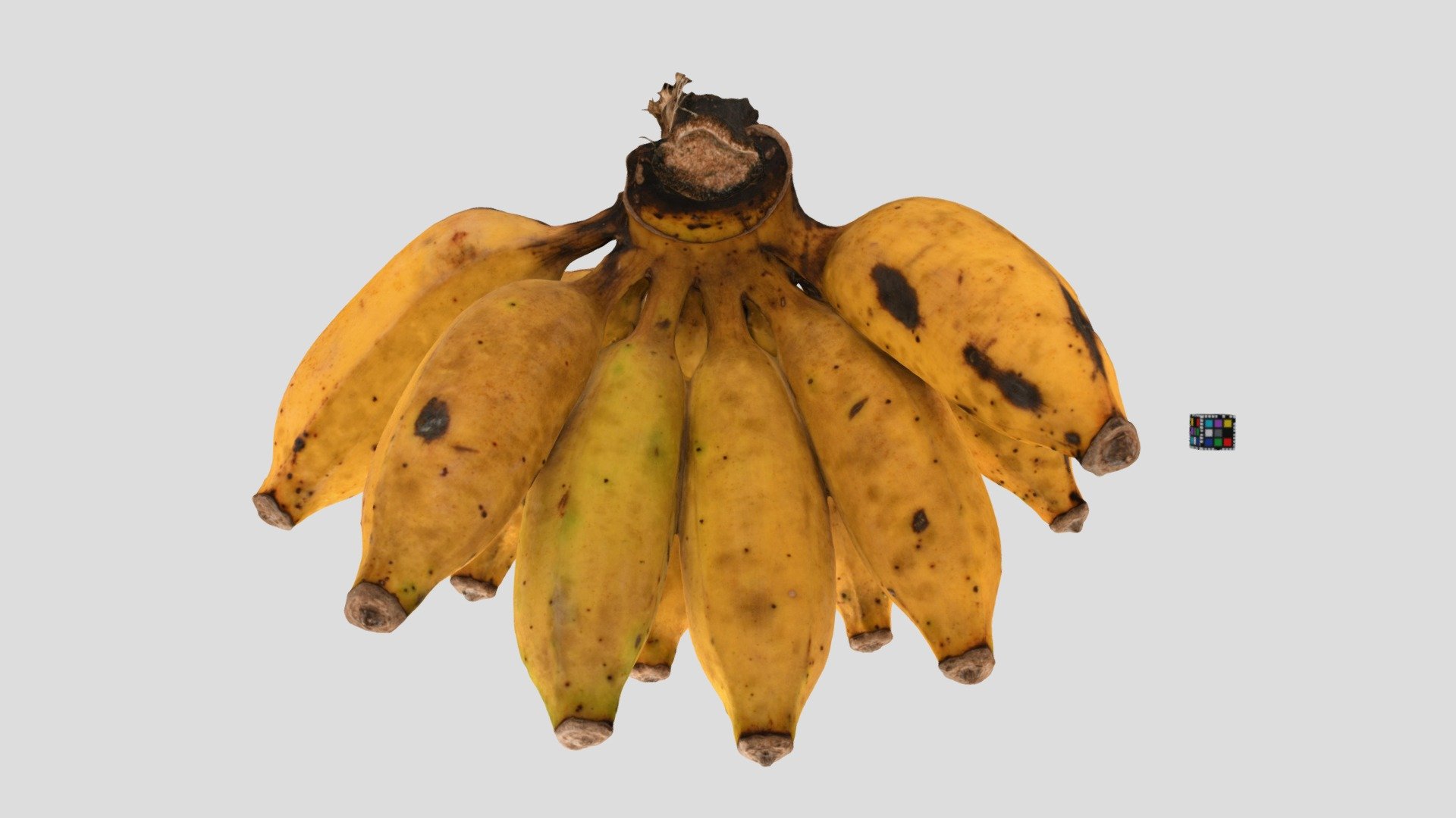 バナナ 🍌 黄色 Banana Yellow, Musa cv. - Download Free 3D model by ffish.asia ...