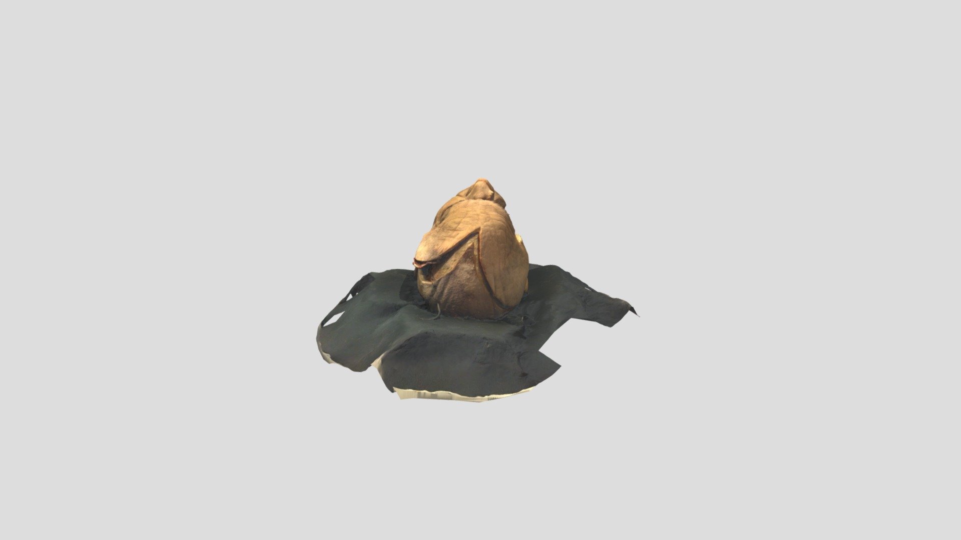 Cadaver Dissection - 3D model by toromedya [b141d22] - Sketchfab
