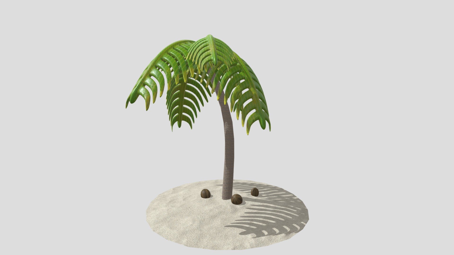 Coconut Tree - 3D model by Shawn Trieu (@shawn.trieu) [b15a2ae] - Sketchfab