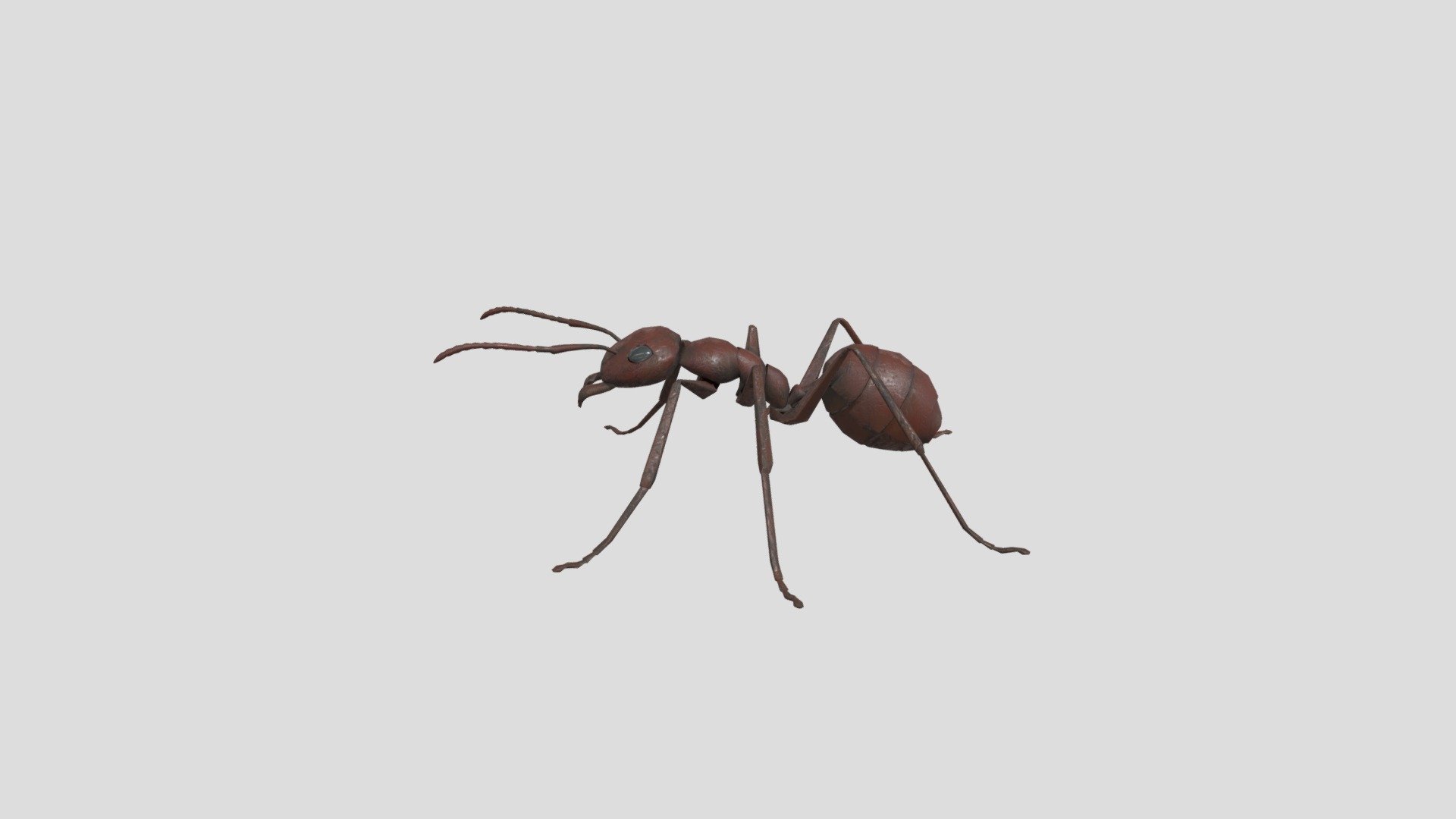 semut imut - 3D model by rikwanstik31 [b15d097] - Sketchfab