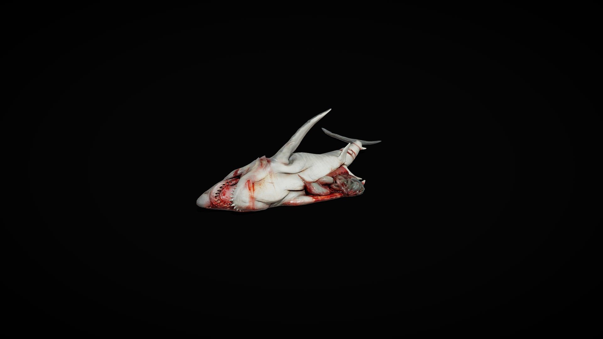 Shark Corpse - 3D model by muralev.k [b1603ed] - Sketchfab