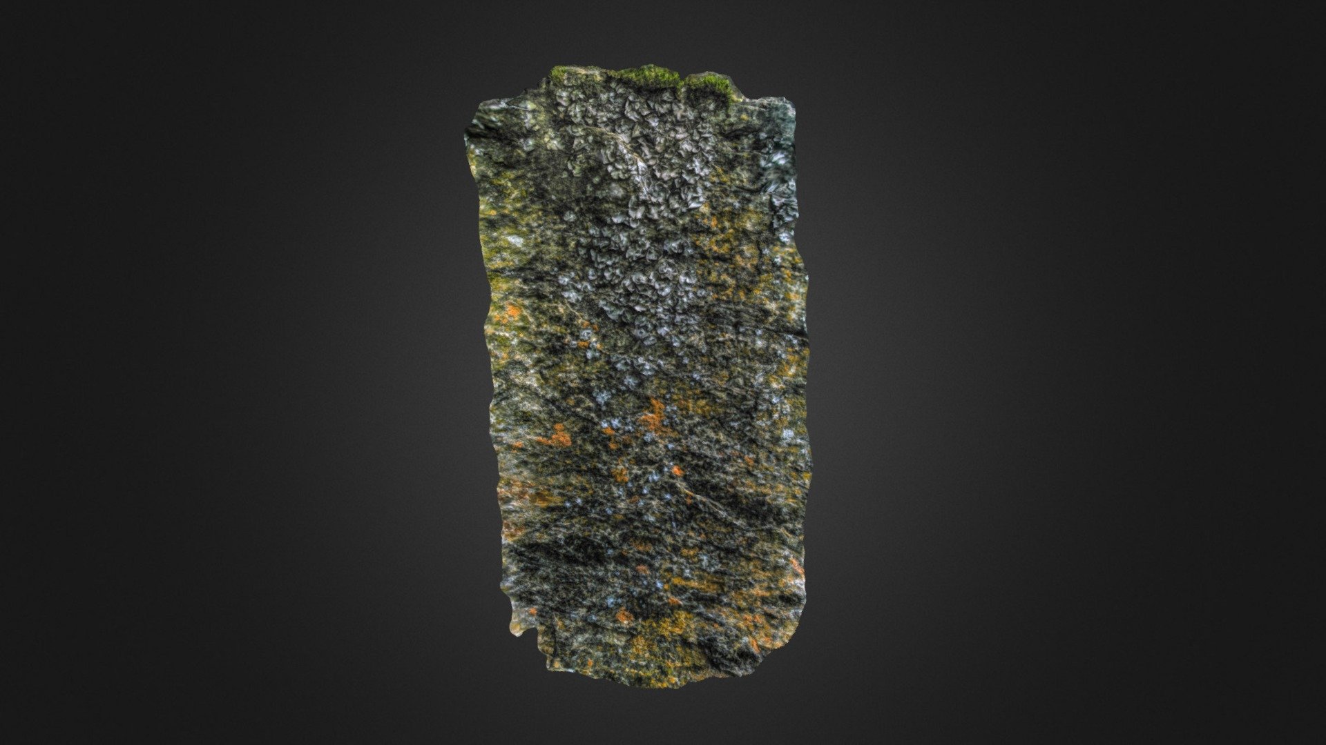 Dark lichen - 3D model by SenYul [b1664d2] - Sketchfab