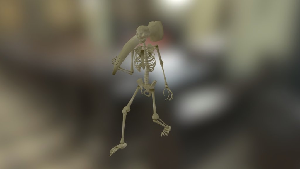 Skeleton Animation - 3D model by Jayson Dean (@j3dqd) [b16b52a] - Sketchfab