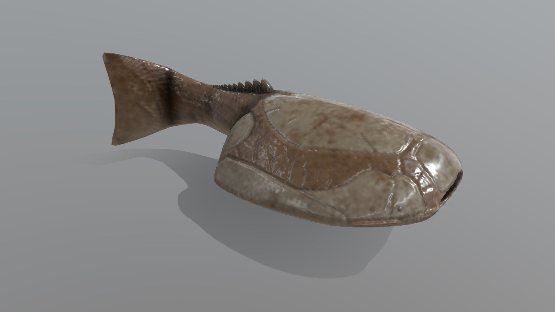 Drepanaspis - 3D model by Paleobiome [b16dd85] - Sketchfab