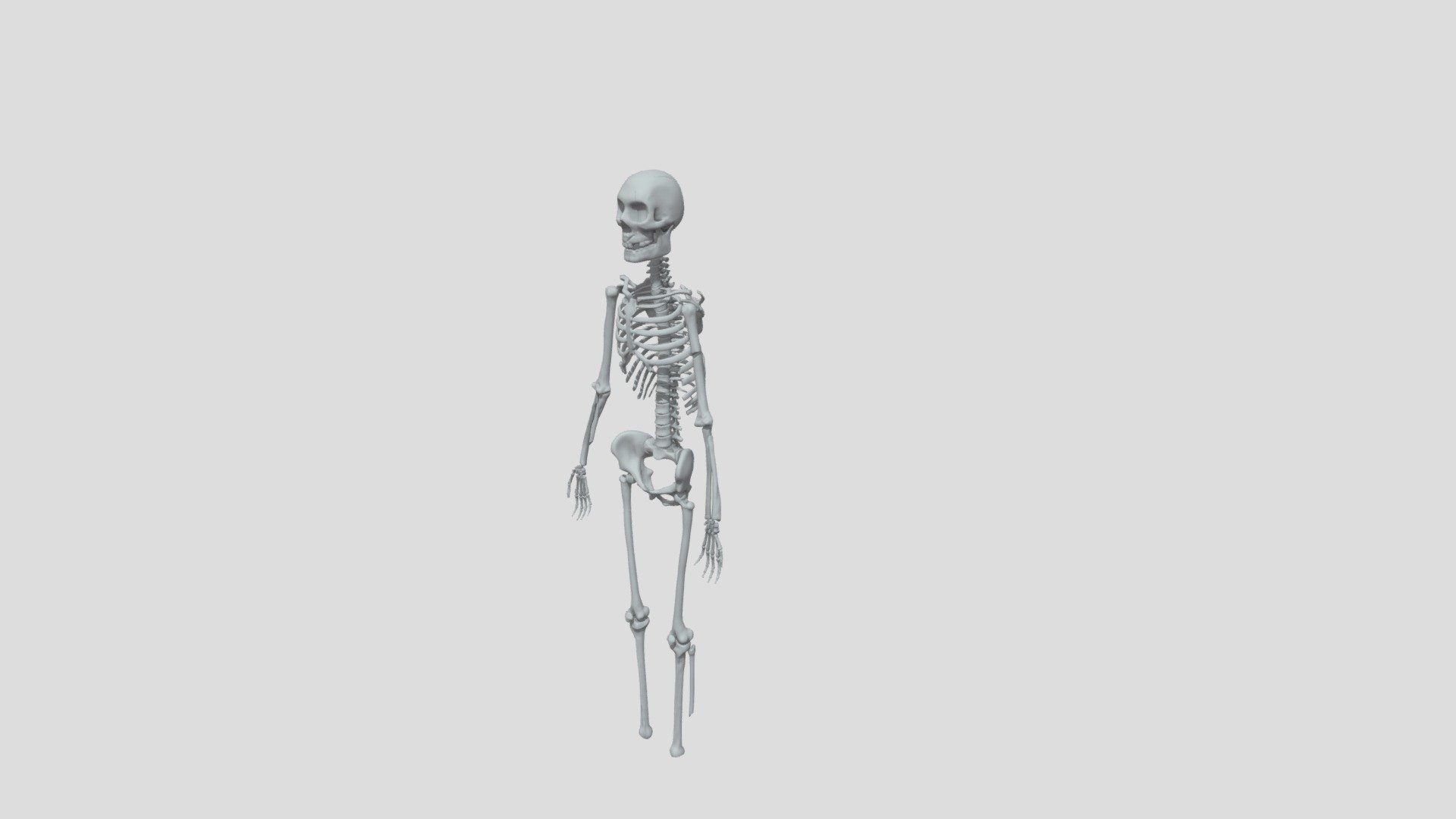 Character skeleton sketch - Download Free 3D model by TiagoFurtunato ...