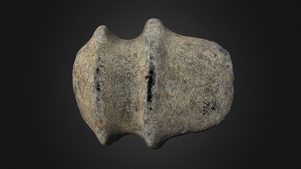 Full Grooved Axe - Download Free 3D model by RLA Archaeology (@rla ...