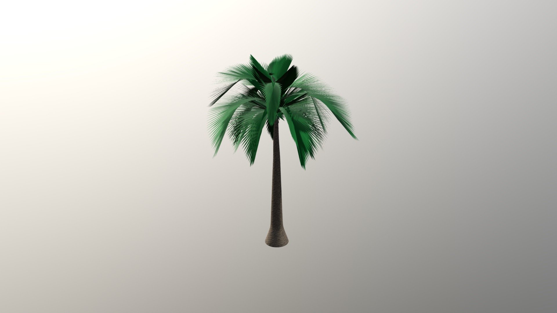Palm Tree - 3D model by CG Asura (@CG.Asura) [b18f9a6] - Sketchfab