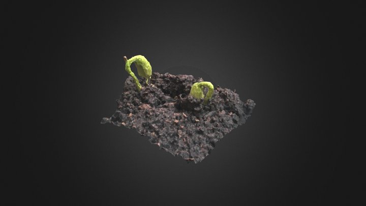 Seed 3D models - Sketchfab