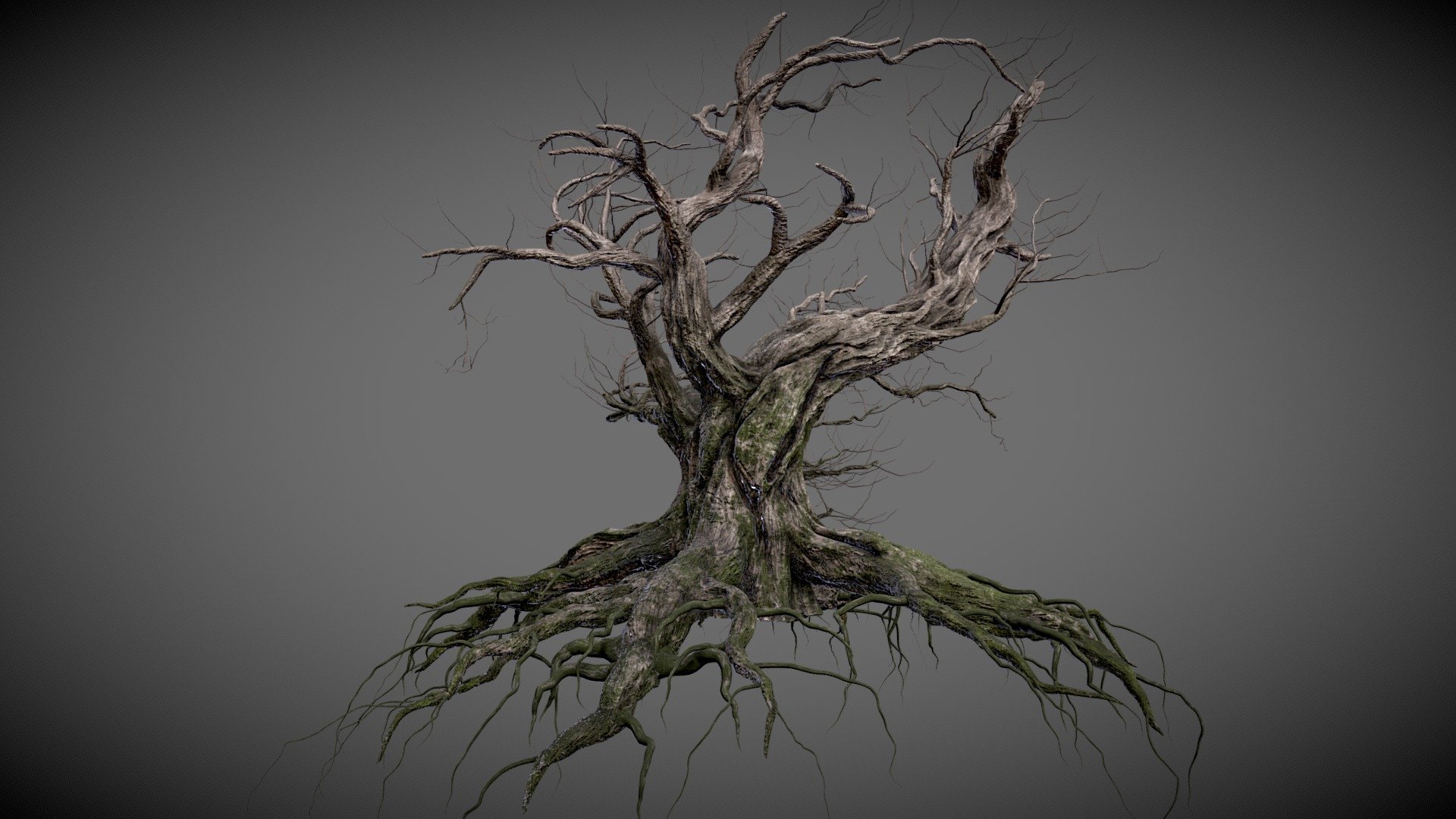 epic tree - Buy Royalty Free 3D model by distant_voices [b1a36f2 ...